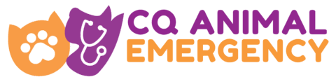CQ Animal Emergency | Central Queensland's only dedicated Emergency Vet